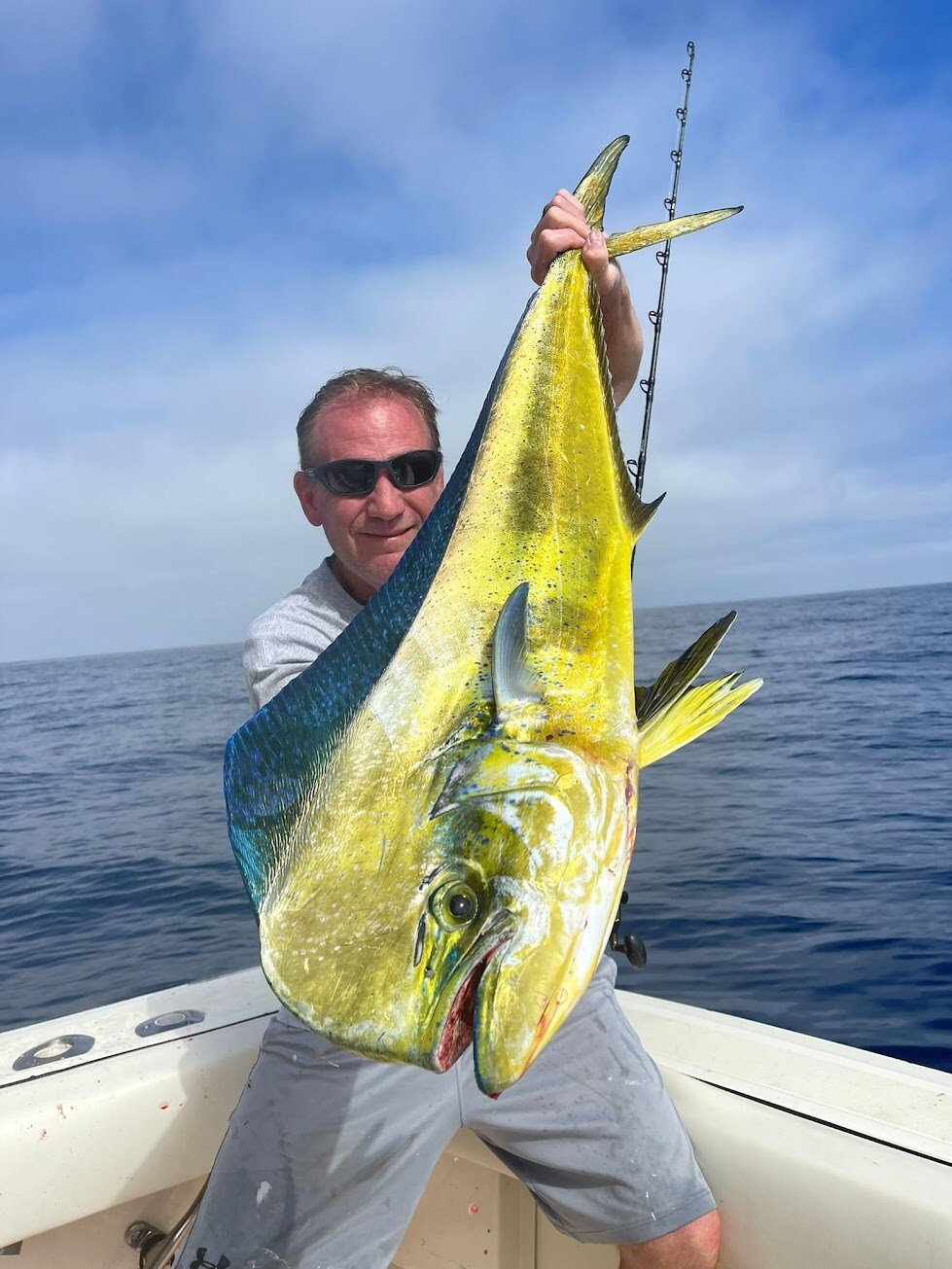 Dorado