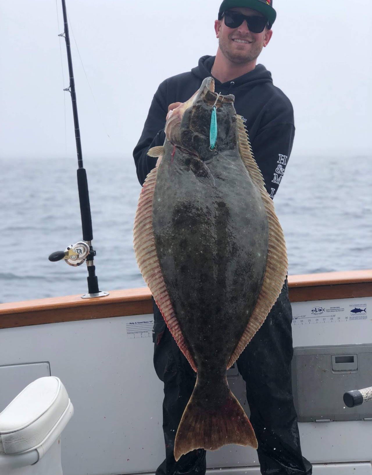 Halibut